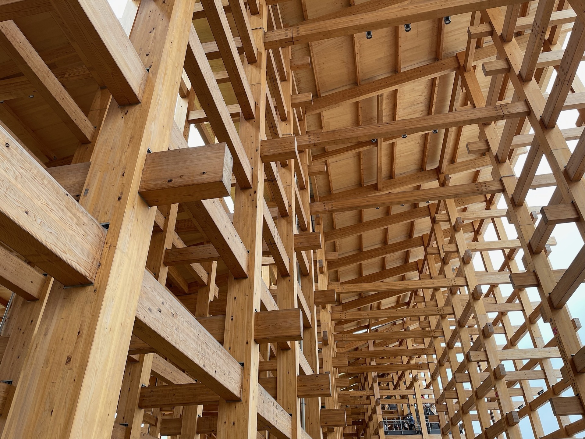 19424歩: バンザイ‼エンジェルくん